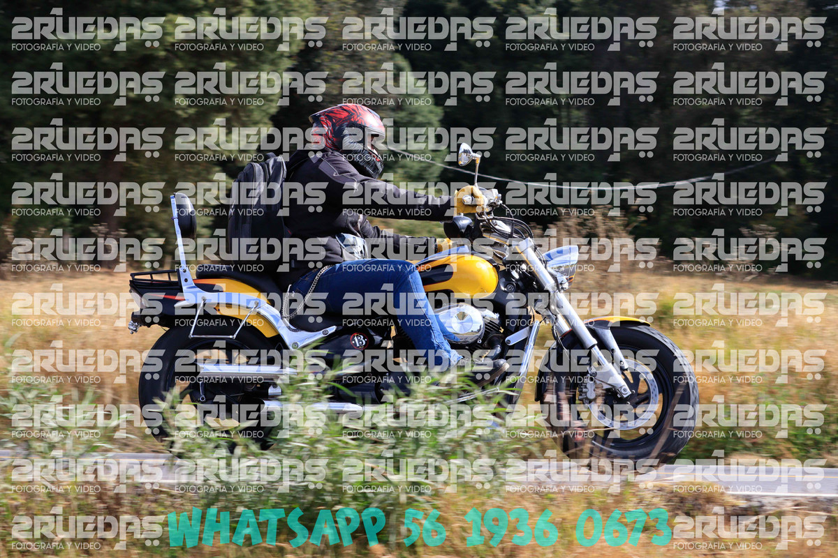 MG 0515 — Postimages