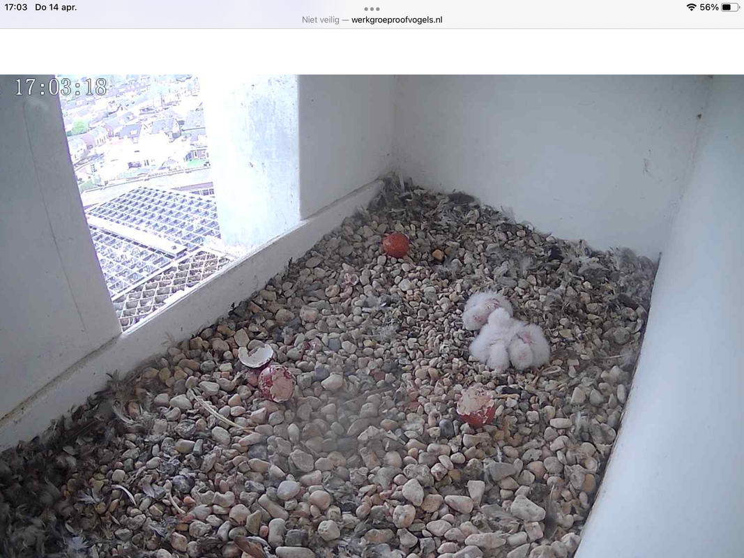 468 C7396 2192 4 E9 A 9363 EC0 F393 C5 D75 — Postimages