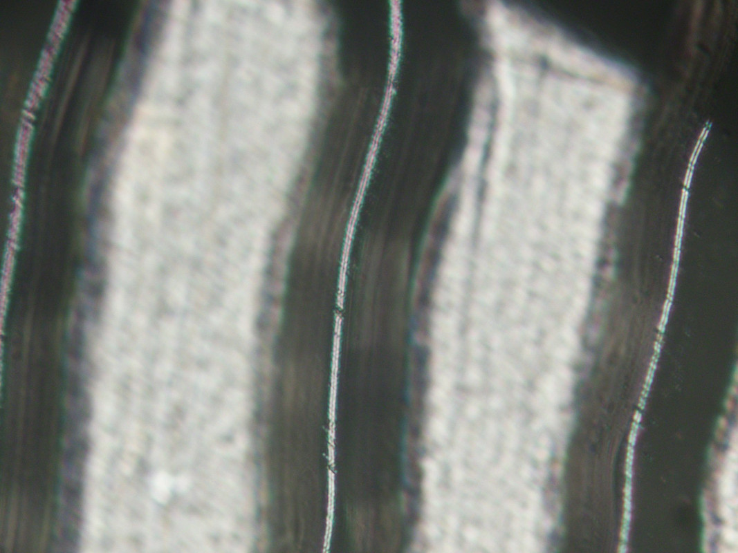 20x ridge top — Postimages