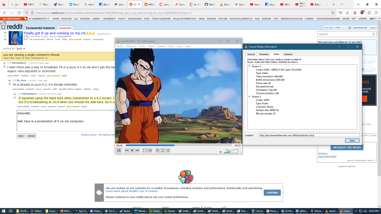 Finally got it up and running on my crt🤌🤌🤌 : r/ToonamiAftermath