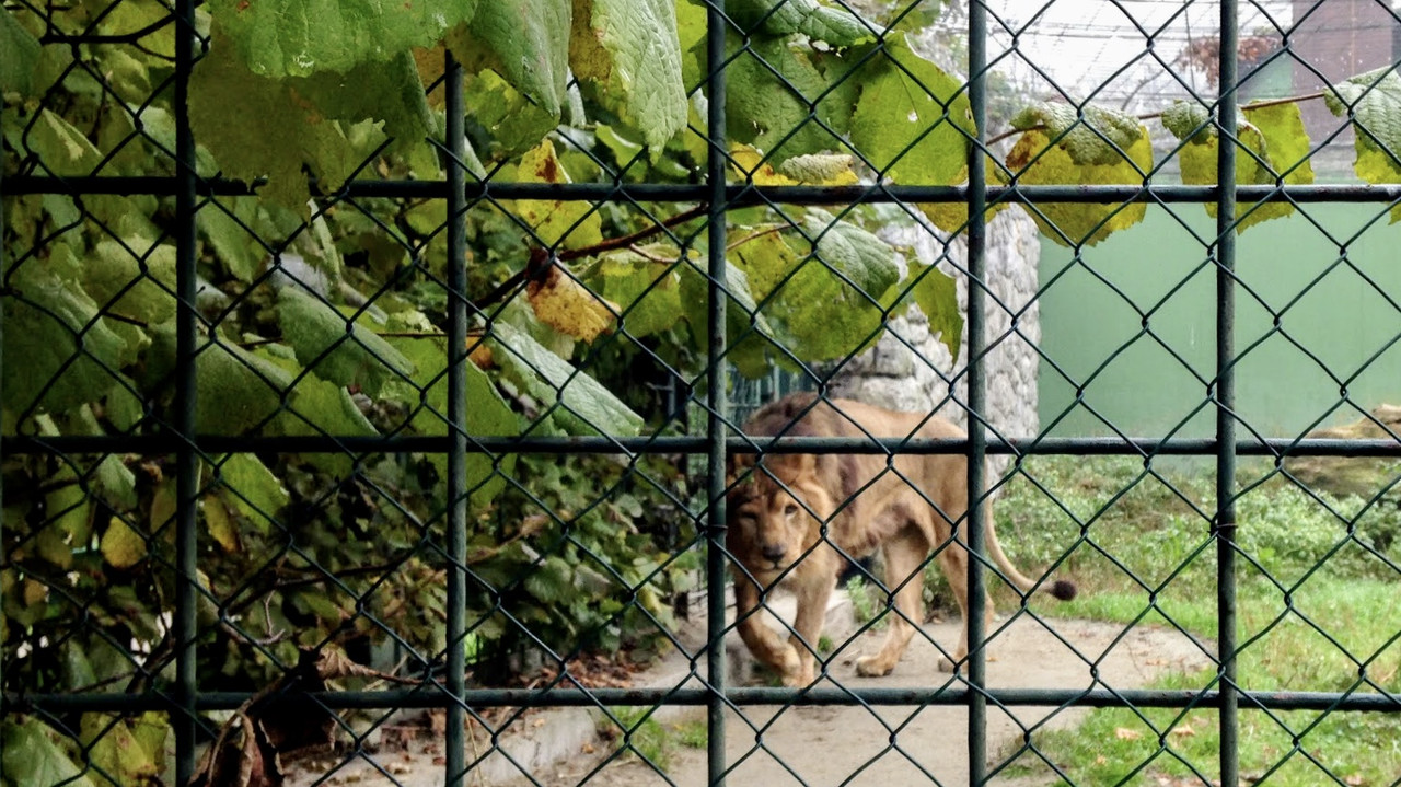 A5 EB6223 2344 4 AF8 9220 7 EABFCA39395 — Postimages