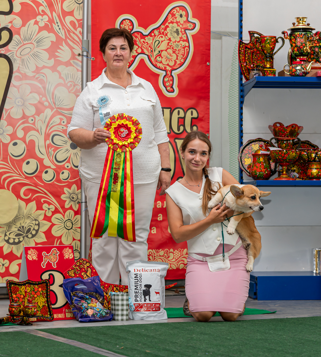 305 CR2 — Postimages