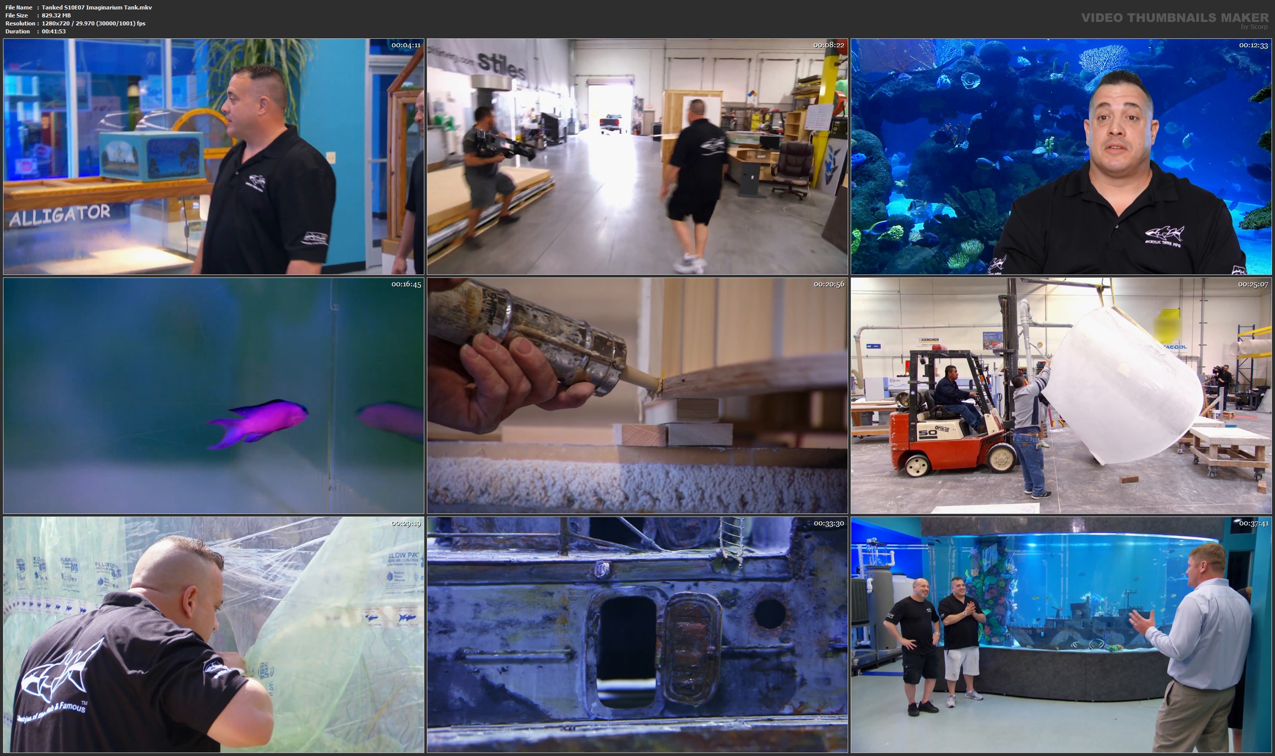 Tanked S10 E07 Imaginarium Tank mkv — Postimages