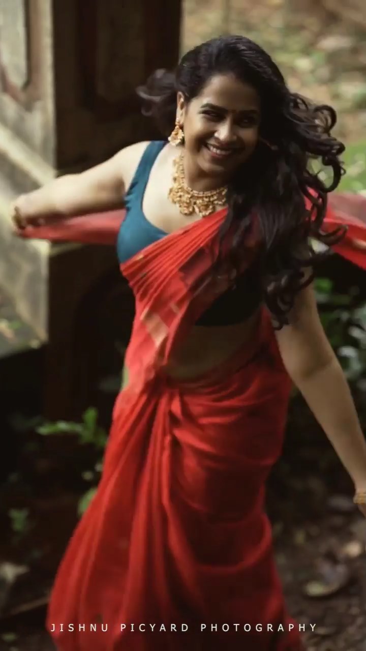 Sadhika Venugopal Sexy Navel in Red Saree mp4 snapshot 00 25 407 — Postimages
