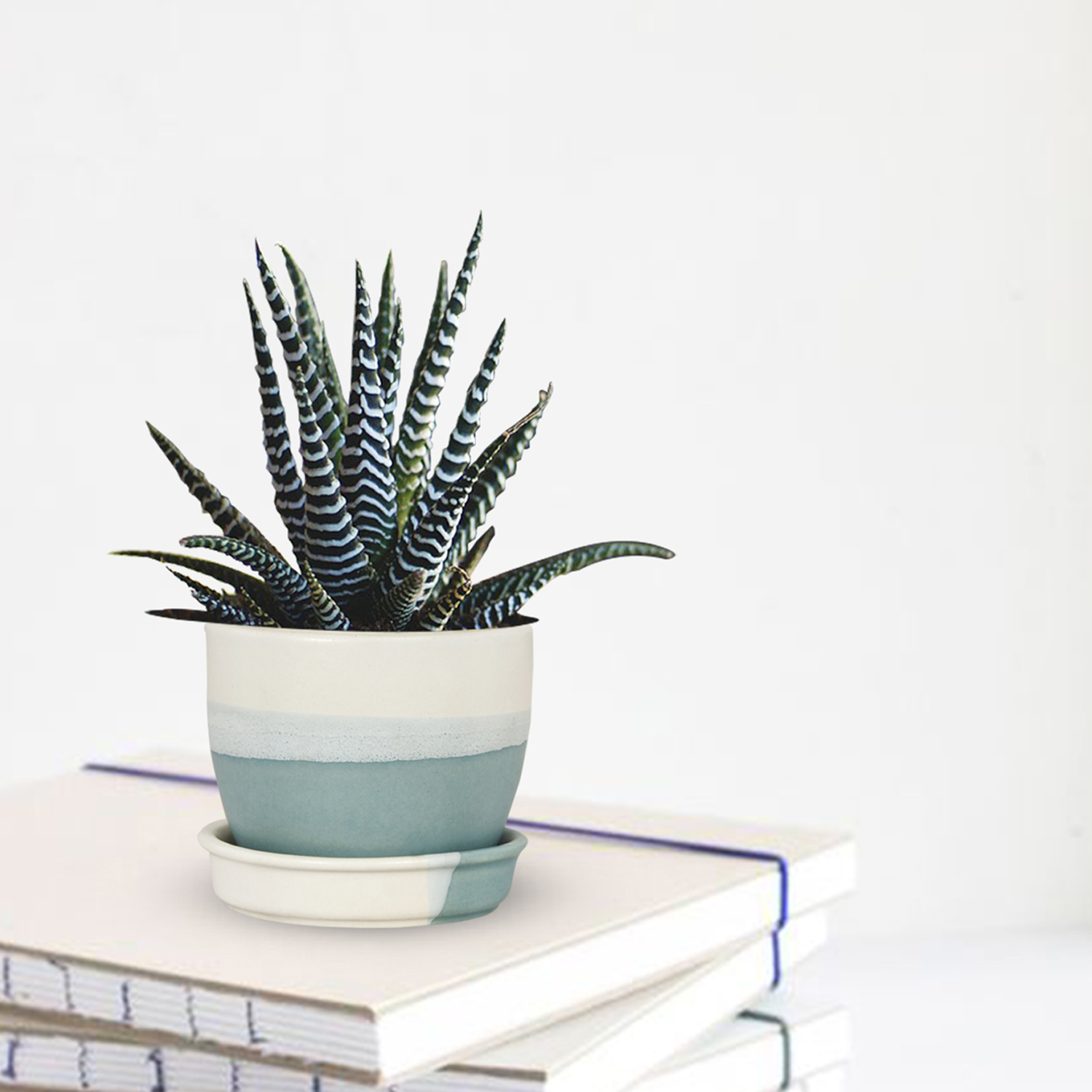 Core with plate multi lasaki 1 — Postimages