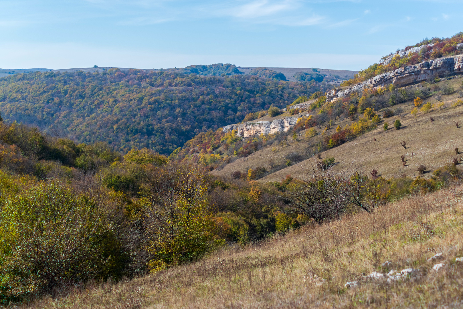 V0005020 145 1618 — Postimages