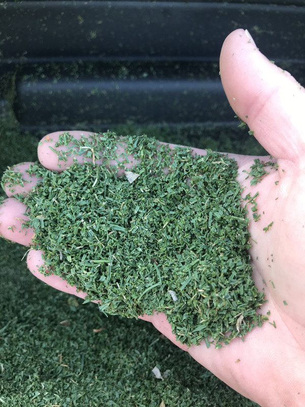 6 D84 B431 6 D18 4 E94 BB61 D1 F695 D6 E8 EE — Postimages