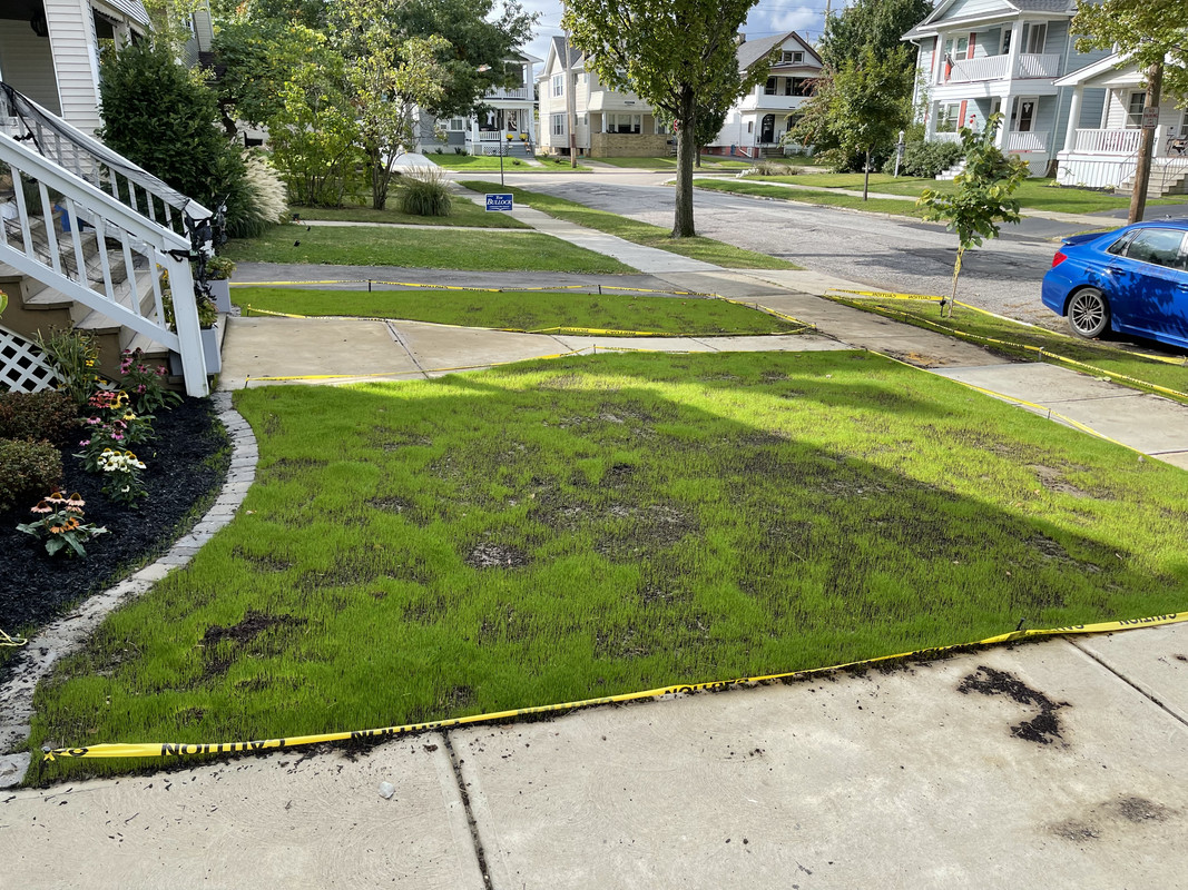 IMG 3083 — Postimages