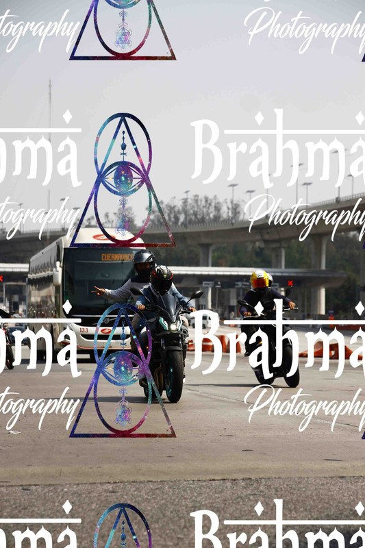 MG 1526 — Postimages