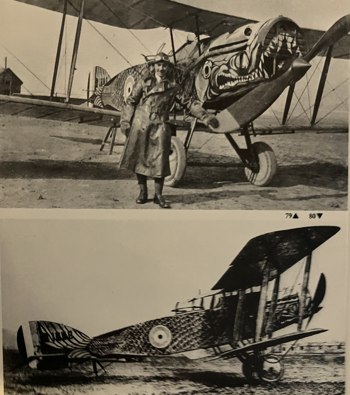 Sharkmouths or other teeth- let’s do some serious dentation in 2027 ...