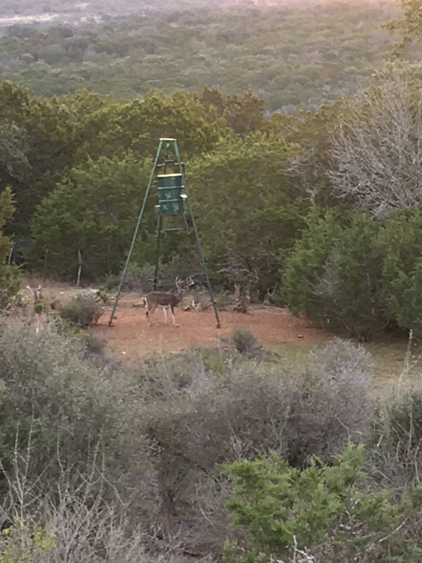 IMG 6284 — Postimages