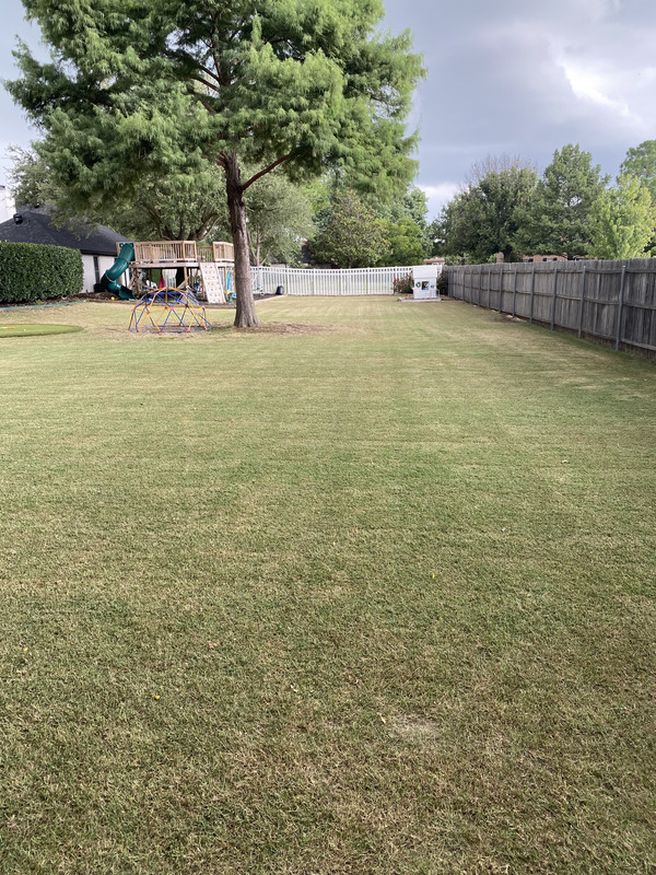 Next Level | Lawn Care Forum