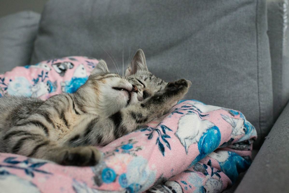 D358 D80 E 12 B7 4 B27 B713 30 B3 F28 C6 B59 — Postimages