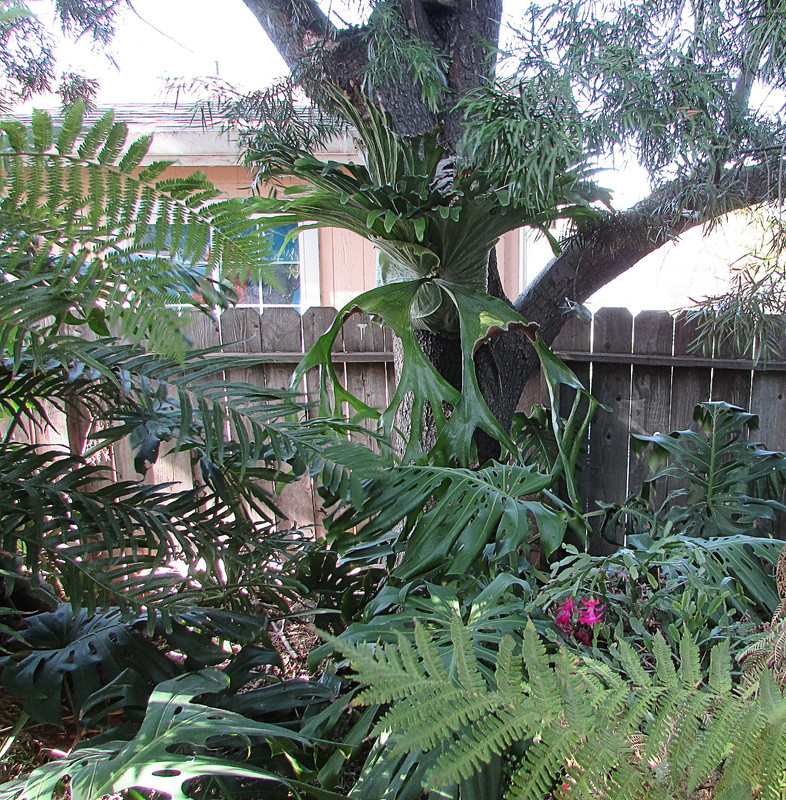 IMG 1764 — Postimages