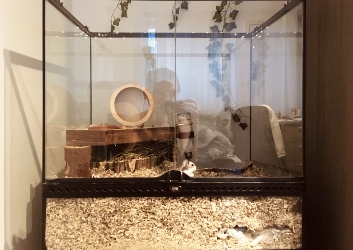 4 C4 A0 F53 0 A1 E 4051 AD47 2974 AF04 DF43 — Postimages