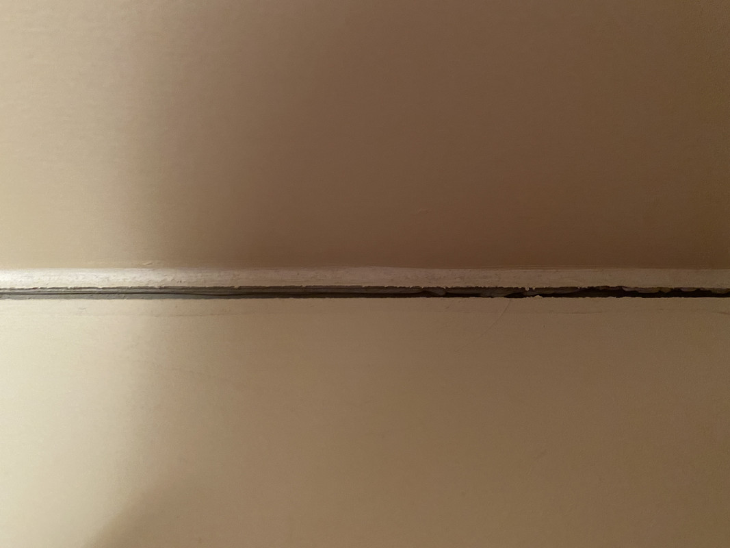 4 C816 C74 F143 40 C2 9 A7 A D57 C0 E206254 — Postimages