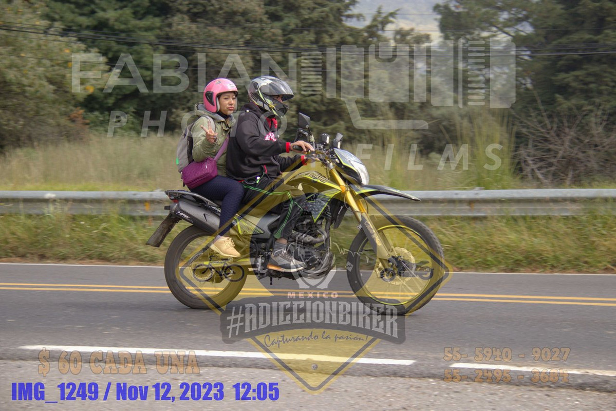 IMG 1249 — Postimages