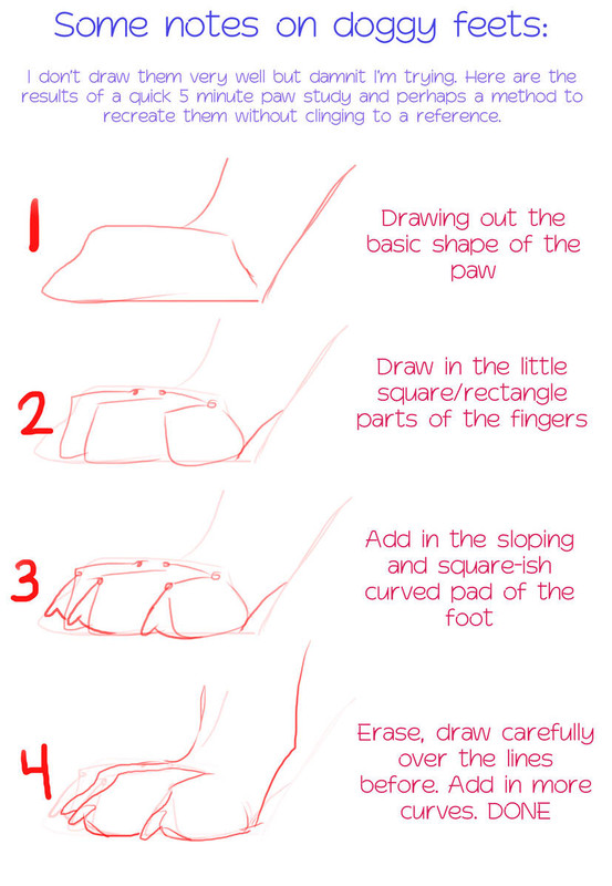 wolf feet reflections and musings by chickenbusiness d873pwc 414w 2x — Postimages