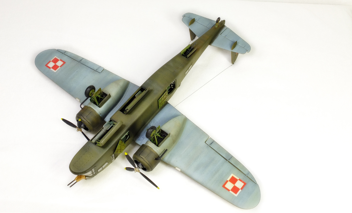LWS-6 ZUBR - Ready for Inspection - Aircraft - Britmodeller.com