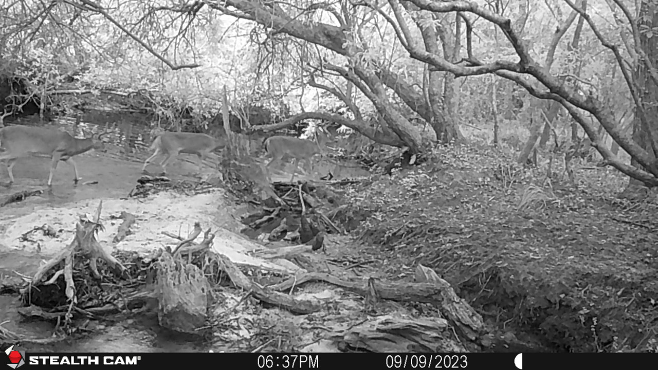 STC 0174 — Postimages