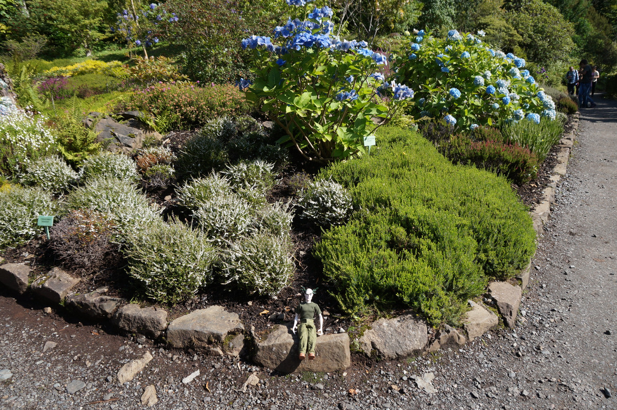 1 D5 BA134 C207 40 BA 8 F52 B4 C54 FF640 BD — Postimages