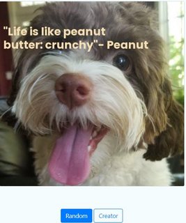 GitHub - Egregiuss/Meme-Generator-: Udacity Python Project