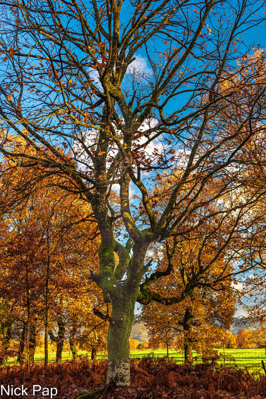 DSC 0188 — Postimages