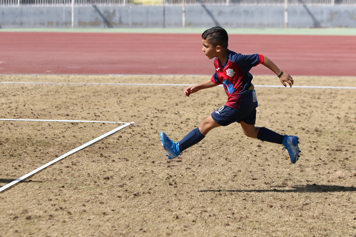 VIK 2130 — Postimages