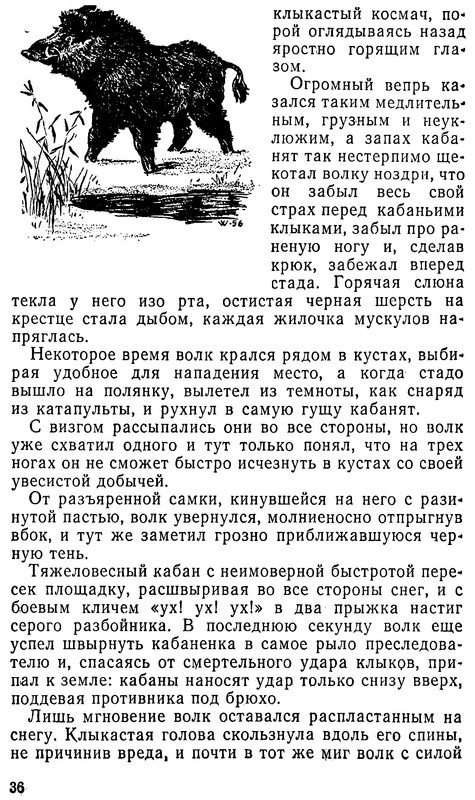 p0036 — Postimages