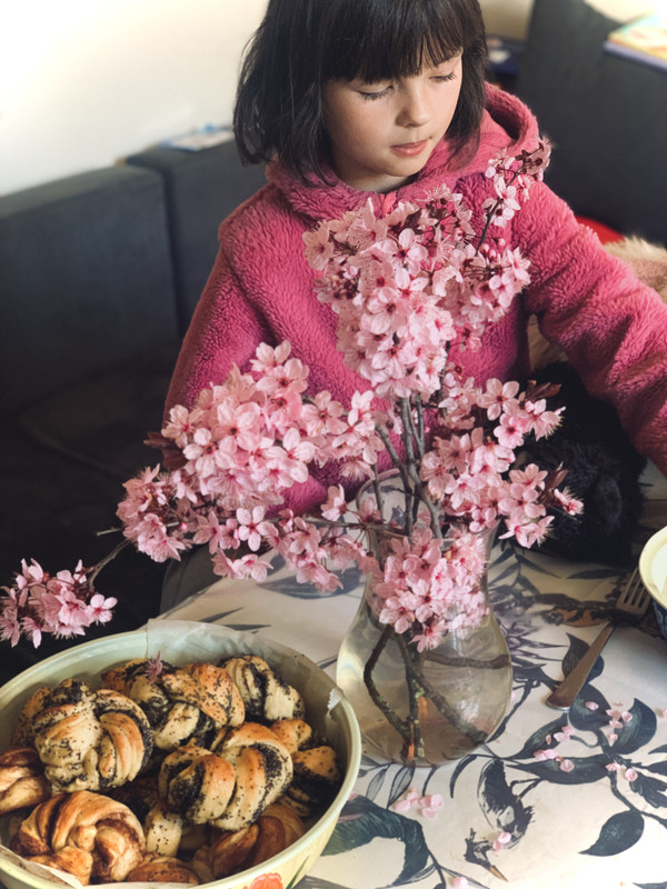 IMG 7006 — Postimages