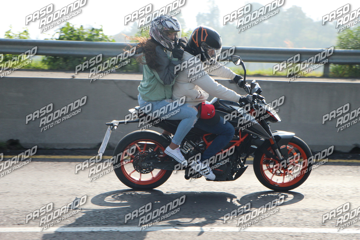 IMG 0584 wm 8469508 600000001 watermarked — Postimages