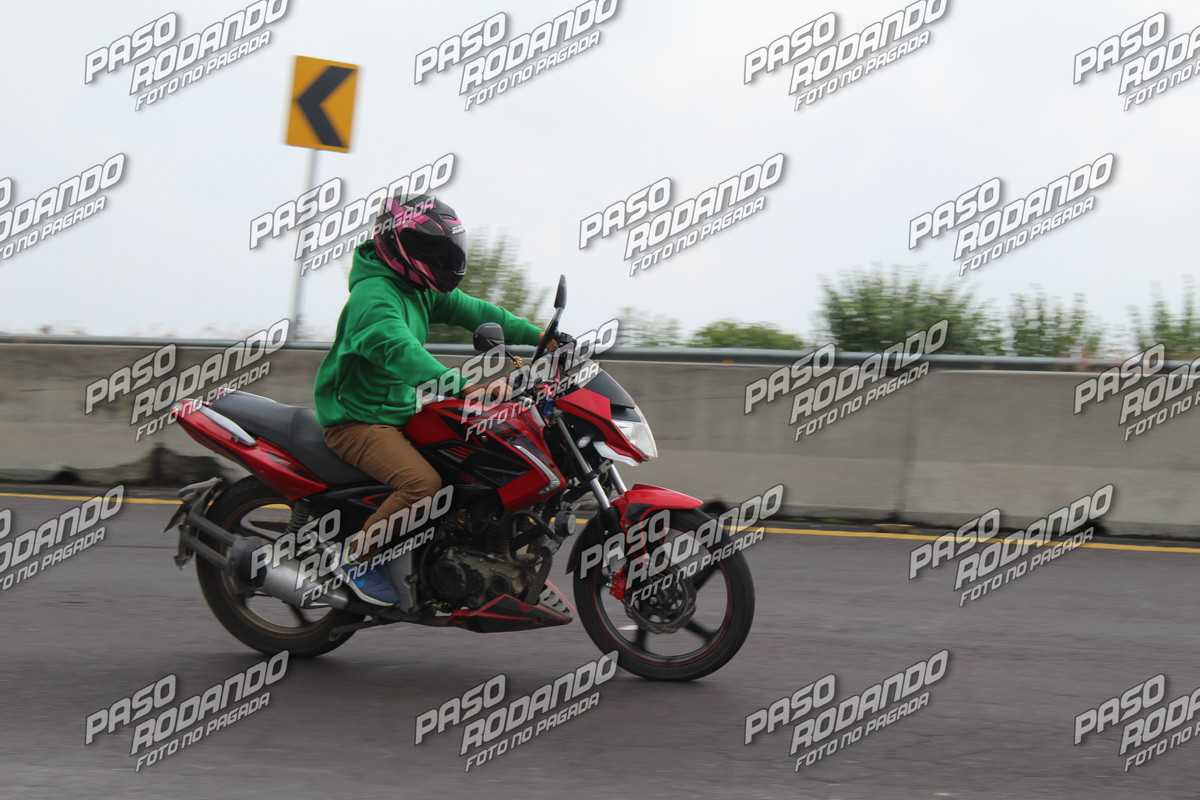 IMG 3472 wm 755850 5 watermarked — Postimages