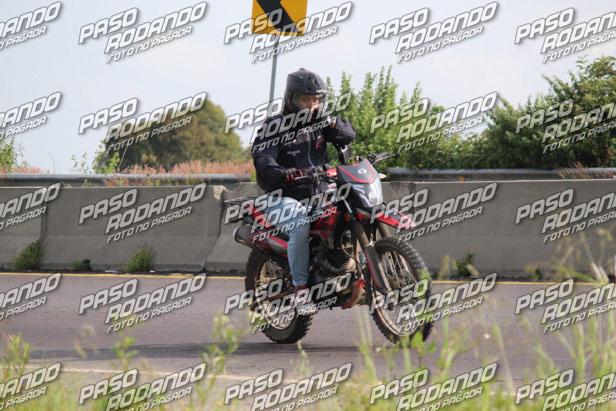 IMG 2539 — Postimages