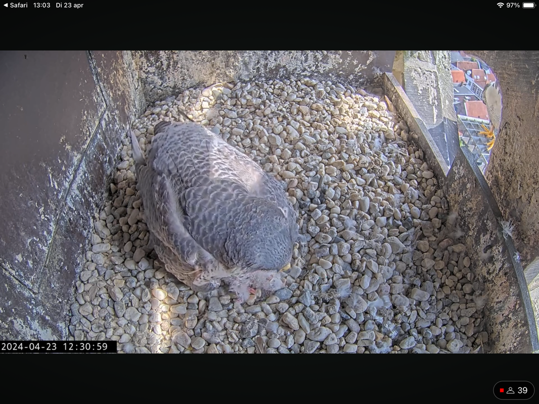 IMG 0299 — Postimages