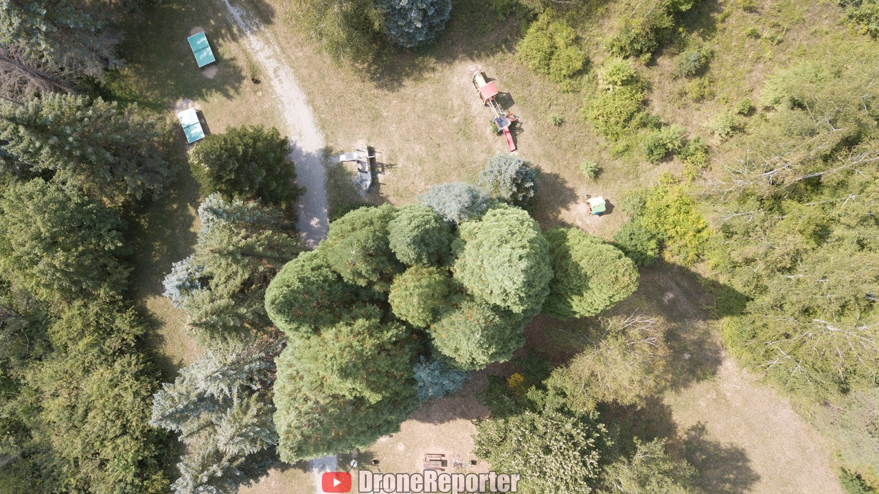 batch Document Name1 32 — Postimages