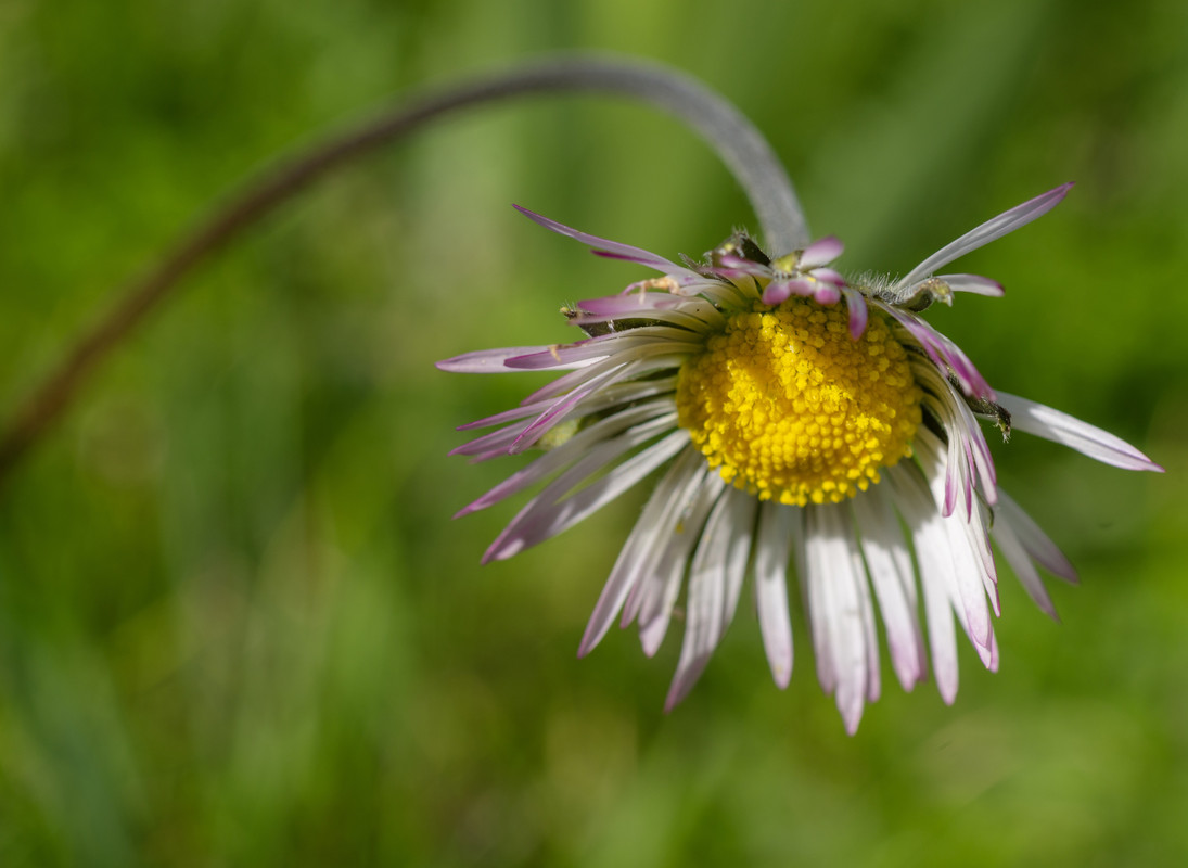 IGP9287 — Postimages