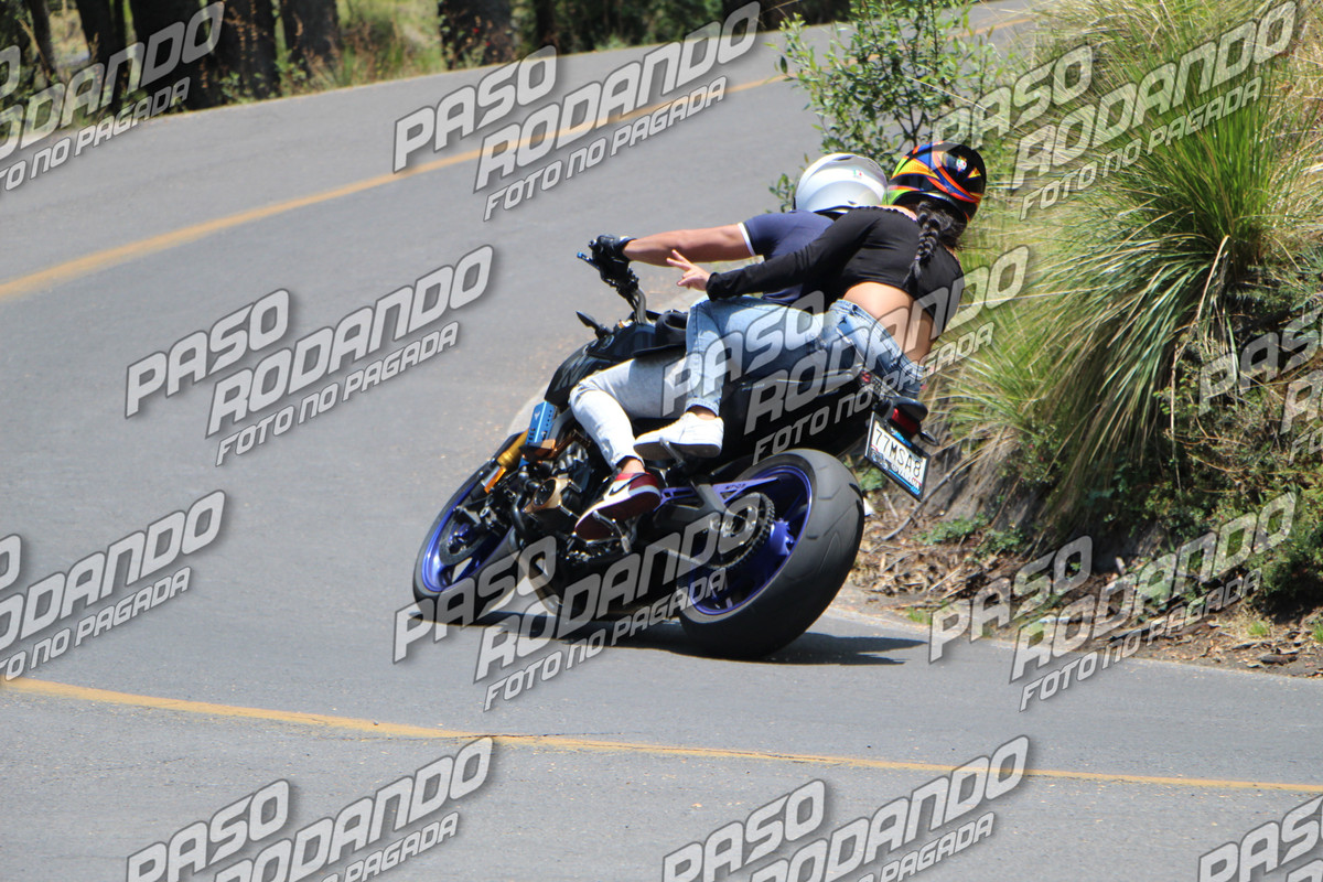 IMG 8167 wm 4958295 3 watermarked — Postimages