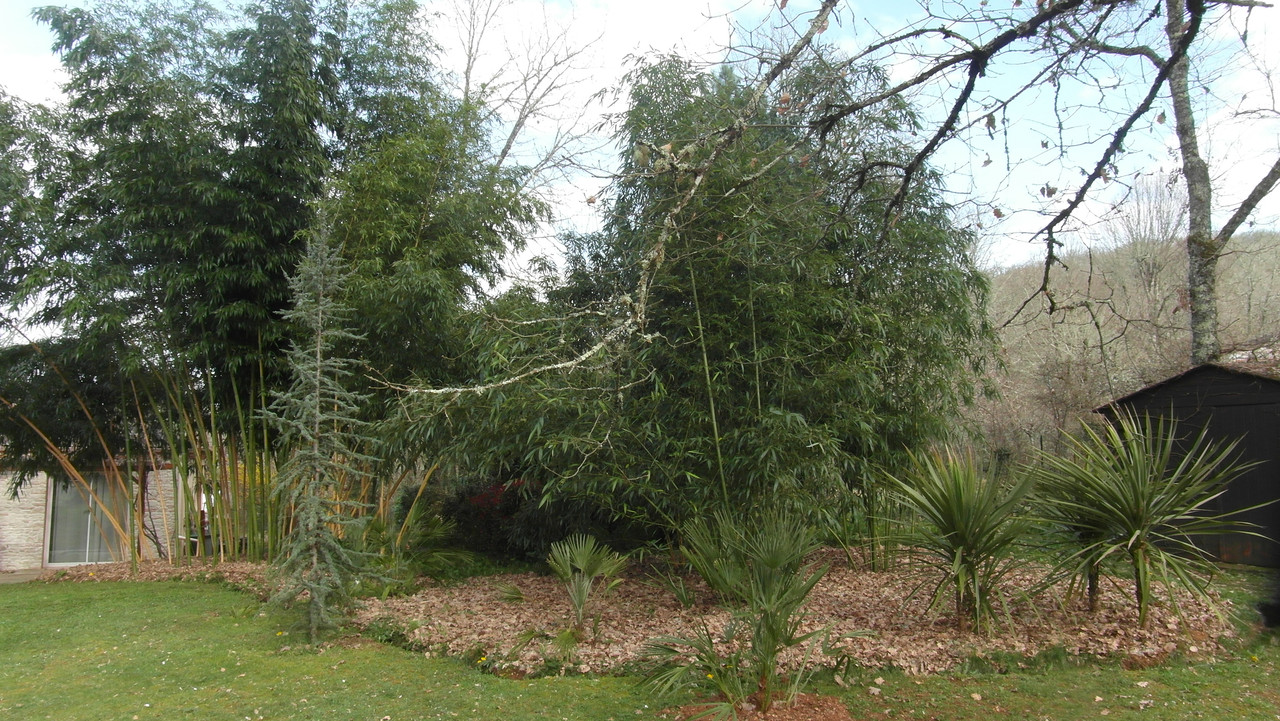 SAM 0007 — Postimages