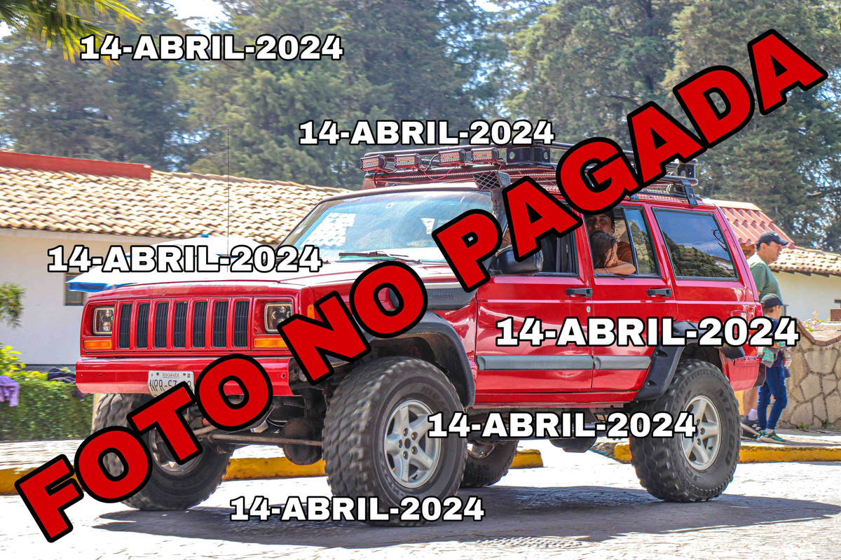 CV 133 — Postimages