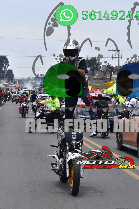 AVQ 1525 — Postimages