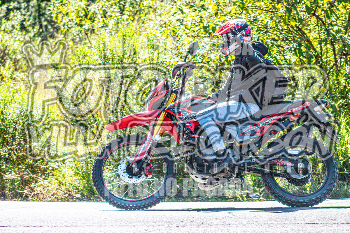 CV 10 — Postimages