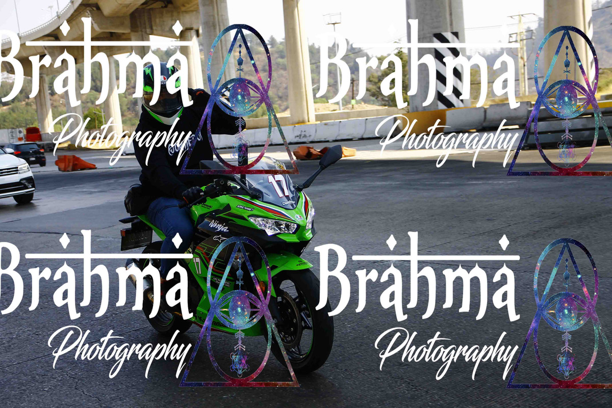 MG 1231 — Postimages