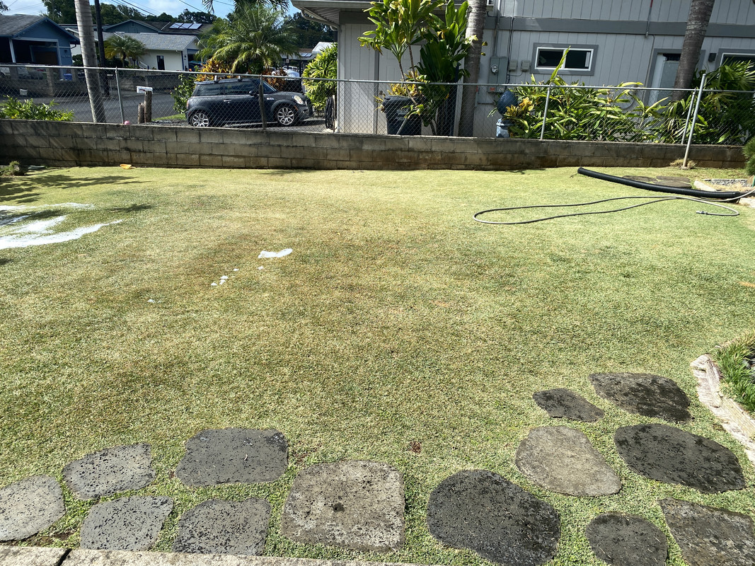 Lesson learned with PGR | Lawn Care Forum