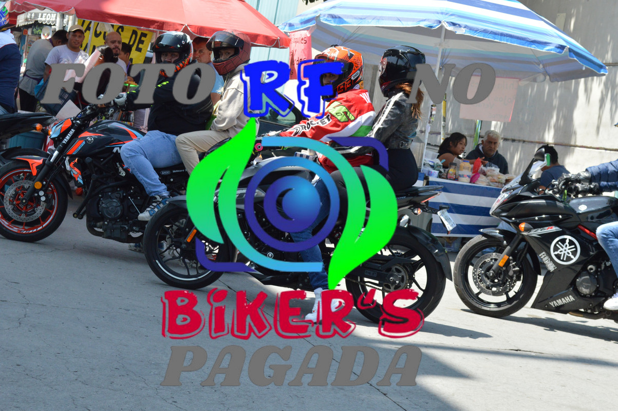 batch DSC 0803 — Postimages