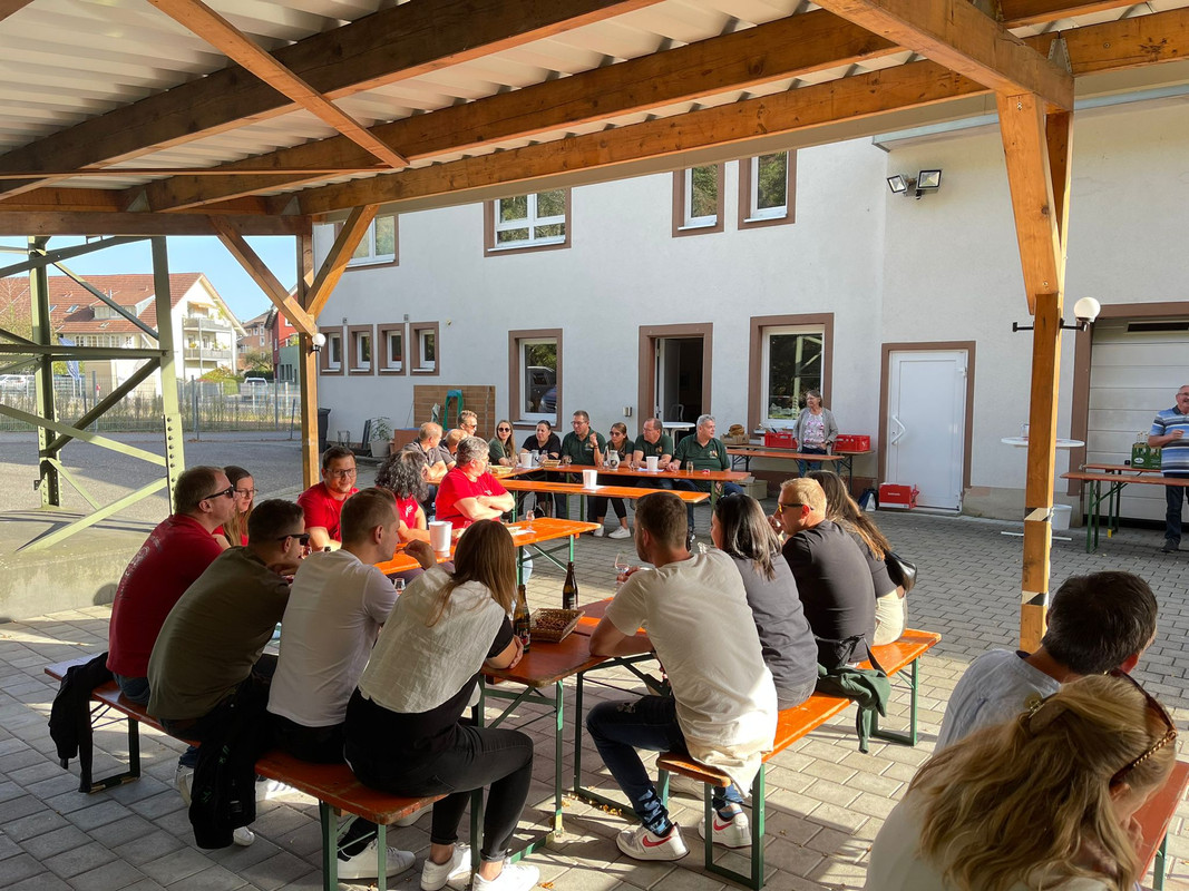 Whats App Bild 2023 10 10 um 20 31 56 2d061bc5 — Postimages