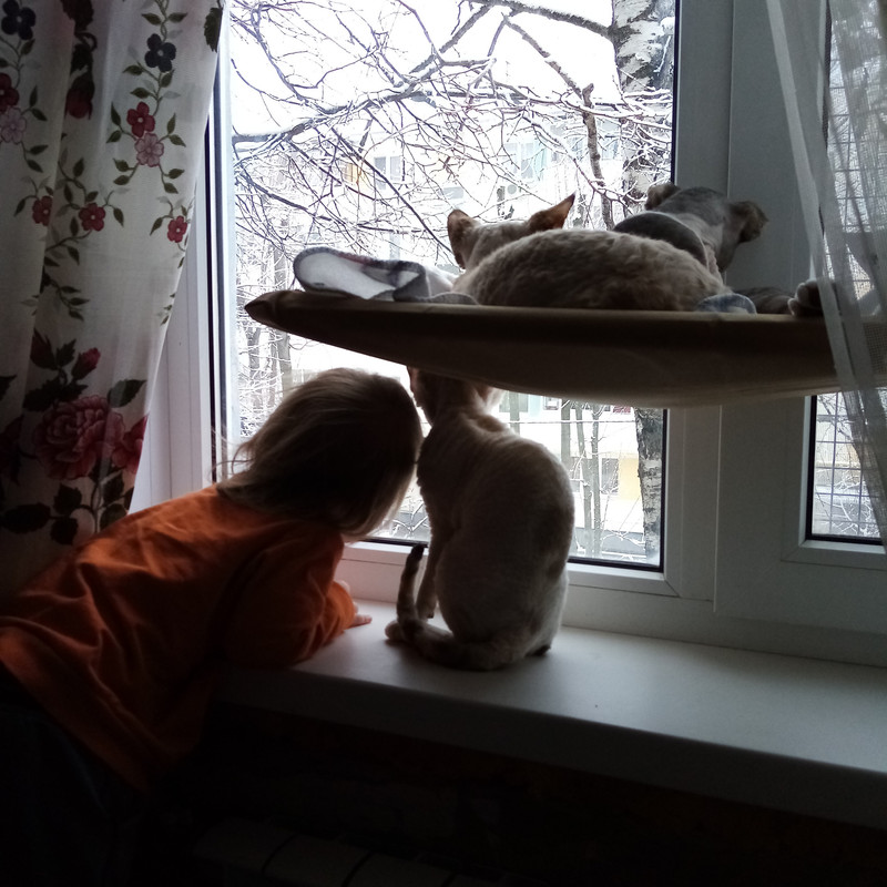 IMG 20210318 093347 537 — Postimages