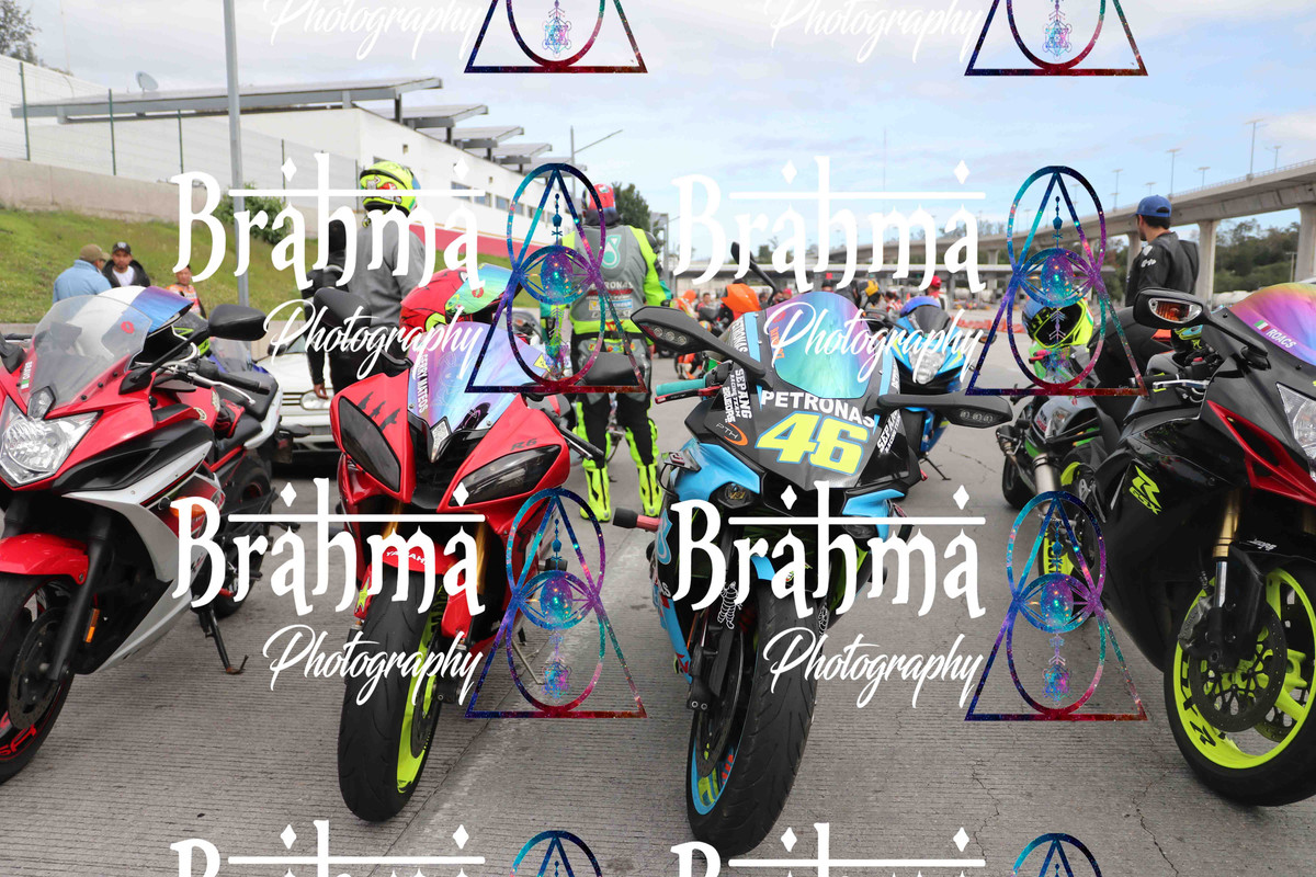 IMG 3929 — Postimages