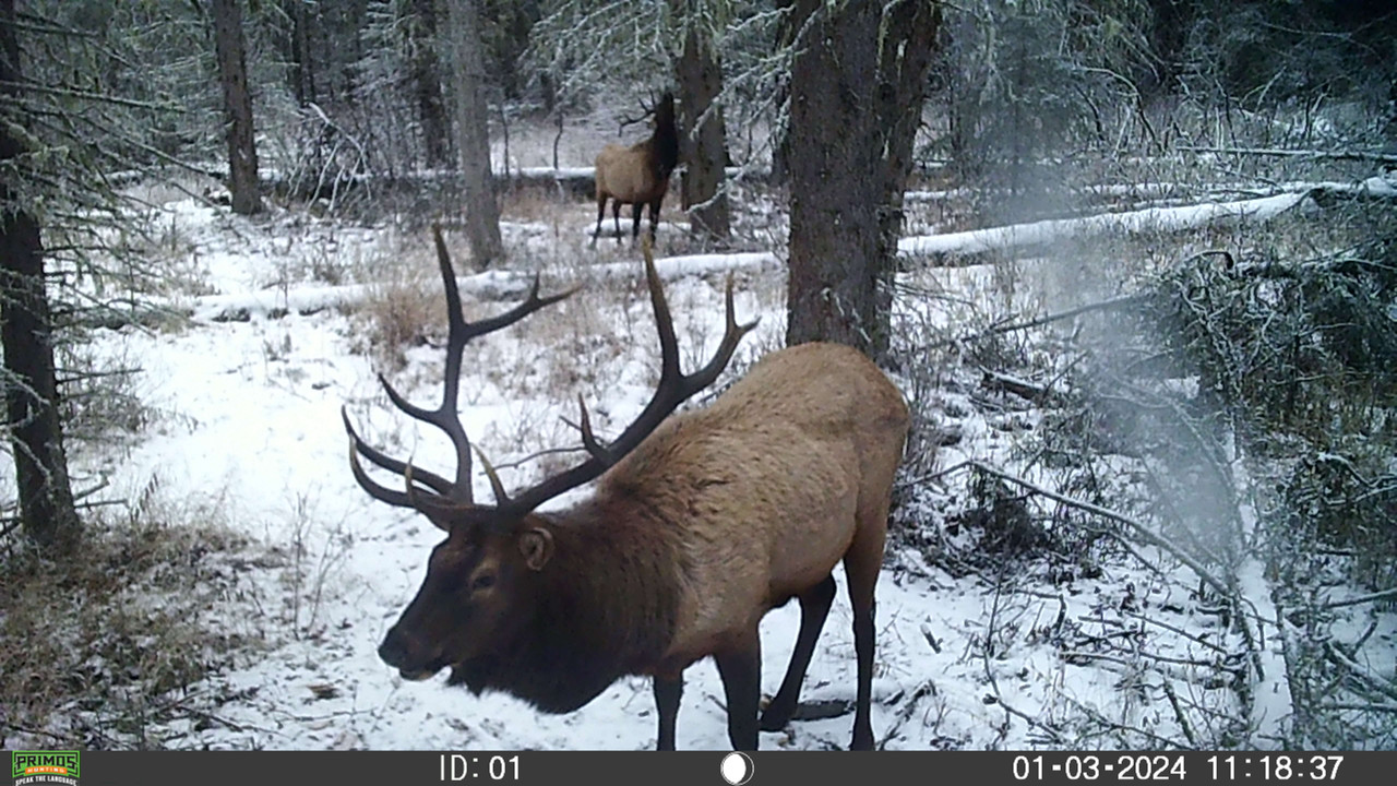 IMAG0758 — Postimages