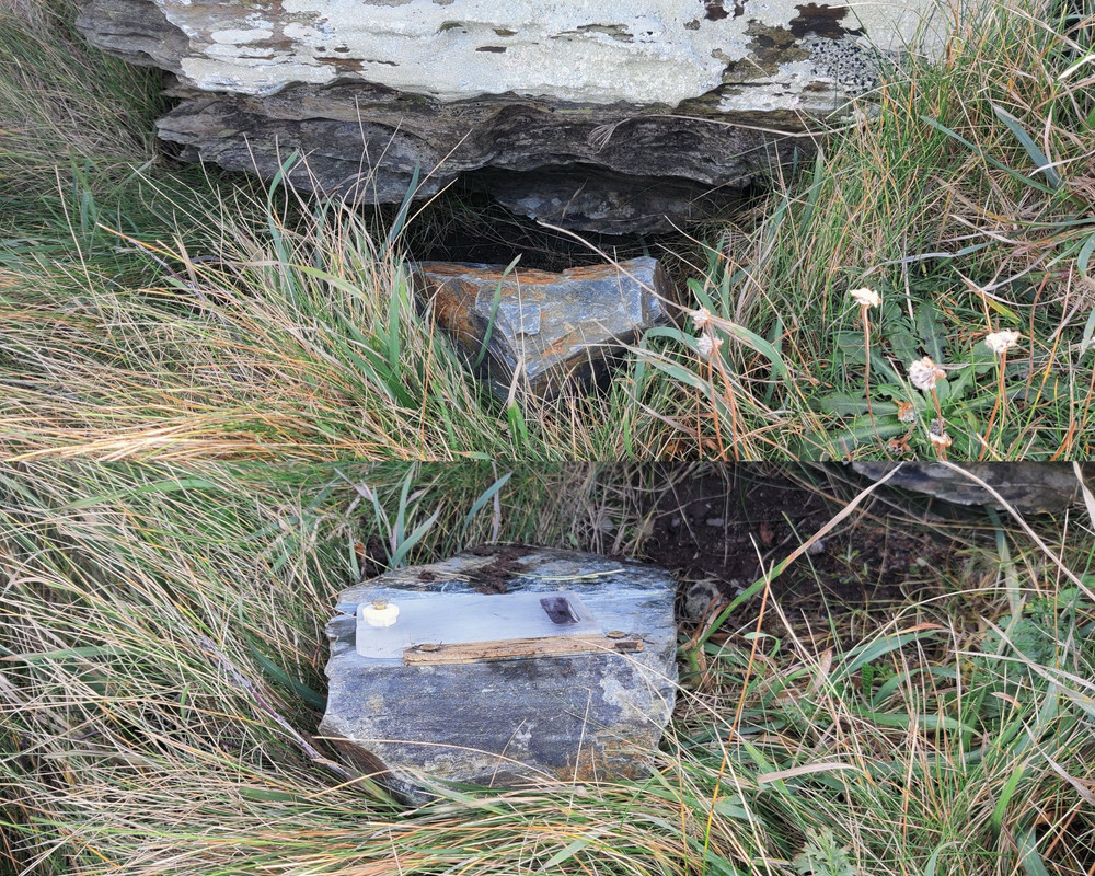 What is your favourite type of cachecontainer? : r/geocaching