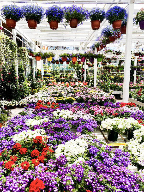 um0dv9dozav81 new — Postimages